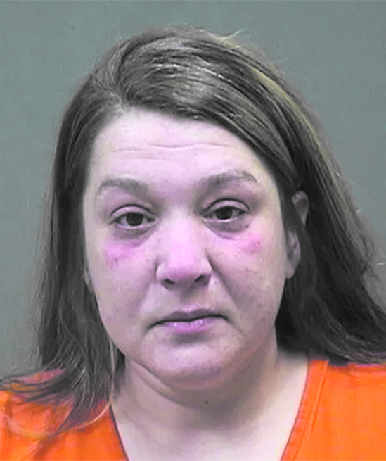 Prosecutor: Goshen Twp. woman charged in puppy sale scheme | News ...